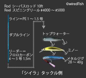 シイラ - 釣りの対象魚