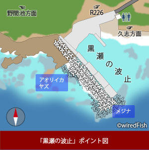 黒瀬の波止の釣り（鹿児島県・南さつま市）| 釣り情報サイト wiredFish